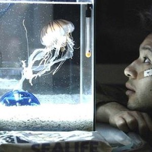 Bright Future - Rotten Tomatoes