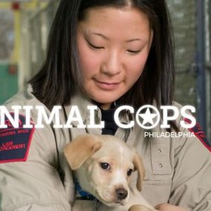Animal Cops: Detroit: Season 13, Episode 19 - Rotten Tomatoes