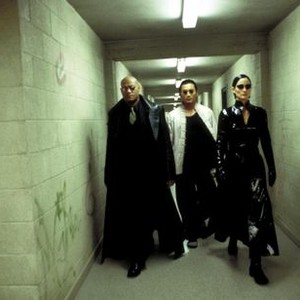 Collin Chou - Rotten Tomatoes