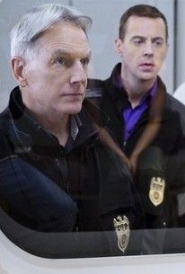 NCIS: Season 13, Episode 14 | Rotten Tomatoes