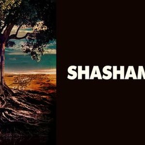 Shashamane - Rotten Tomatoes