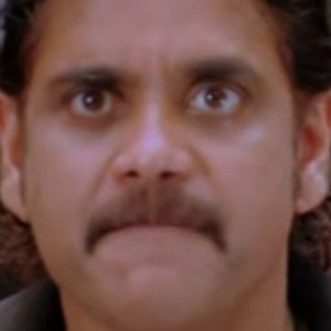 Don - Rotten Tomatoes