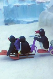 Pingu: Season 3, Episode 13 | Rotten Tomatoes