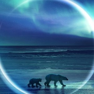 Planet Earth: Frozen Planet II - Rotten Tomatoes