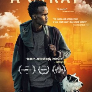 A Stray - Rotten Tomatoes