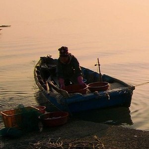 Splendid but Sad Days - Rotten Tomatoes