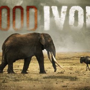 Blood Ivory - Rotten Tomatoes