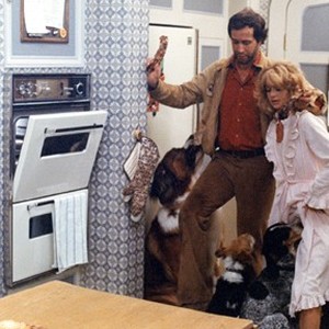 Seems Like Old Times - Rotten Tomatoes