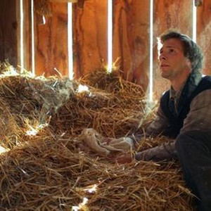 R. Dustin Harding - Rotten Tomatoes