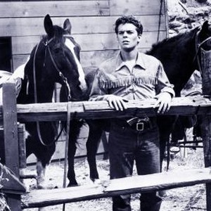 The Young Guns - Rotten Tomatoes