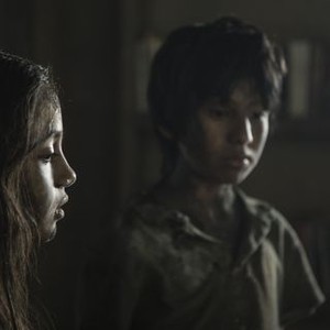 Feral - Rotten Tomatoes