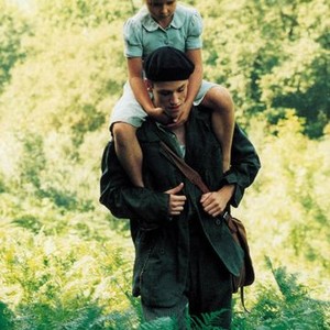 Strayed - Rotten Tomatoes