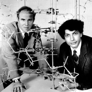 Tim Pigott-Smith - Rotten Tomatoes