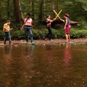 The Stream - Rotten Tomatoes