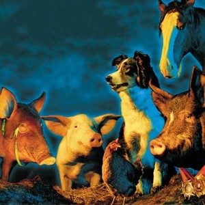 Animal Farm - Rotten Tomatoes