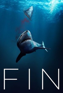 Fin (2021) | Rotten Tomatoes