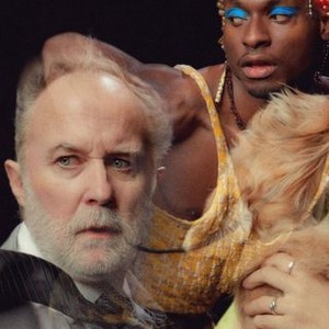 Rainbow - Rotten Tomatoes