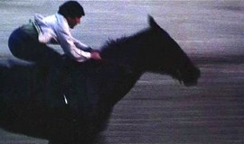 The Black Stallion - Rotten Tomatoes