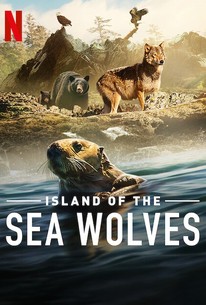 Island of the Sea Wolves: Season 1 | Rotten Tomatoes