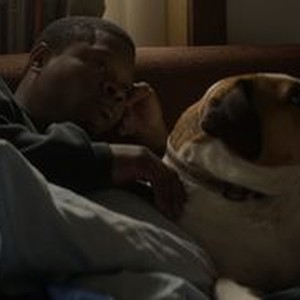 Tyrel - Rotten Tomatoes