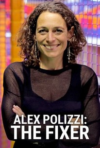 The Fixer: Season 2 - TV Reviews - Rotten Tomatoes