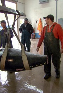 Catching Monsters: Season 1, Episode 4 | Rotten Tomatoes