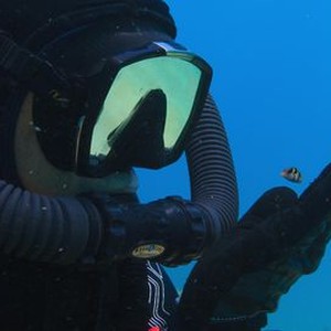 Puff: Wonders of the Reef - Rotten Tomatoes