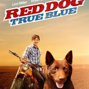 Red Dog: True Blue - Rotten Tomatoes