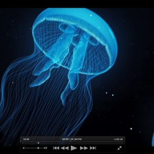 Secret of Water - Rotten Tomatoes