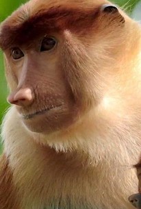 Wild Child: Season 2, Episode 5 | Rotten Tomatoes