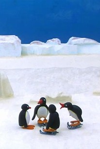 Pingu: Season 3, Episode 26 - Rotten Tomatoes