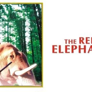 The Red Elephant - Rotten Tomatoes