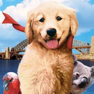 Napoleon - Rotten Tomatoes