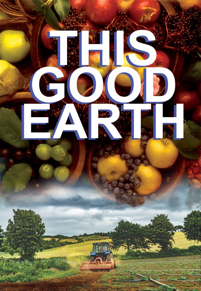 This Good Earth Pictures | Rotten Tomatoes