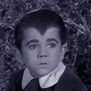 The Munsters: Season 1, Episode 27 - Rotten Tomatoes