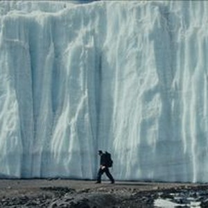 Canary - Rotten Tomatoes