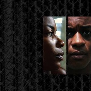 The Tested - Rotten Tomatoes