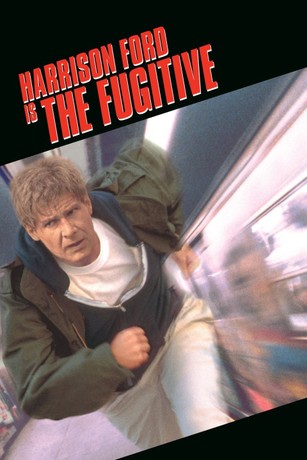 fugitive 1993