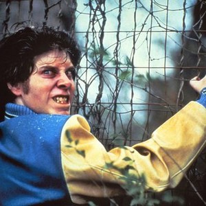 The Beast Within - Rotten Tomatoes