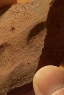 Time Team: Season 16, Episode 4 | Rotten Tomatoes