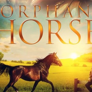 Orphan Horse - Rotten Tomatoes