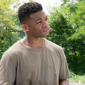 Goldie - Rotten Tomatoes