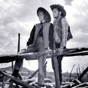 Arizona - Rotten Tomatoes