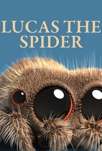 Lucas the Spider - Rotten Tomatoes