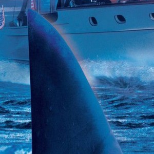 Shark Zone - Rotten Tomatoes