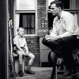 Belfast - Rotten Tomatoes