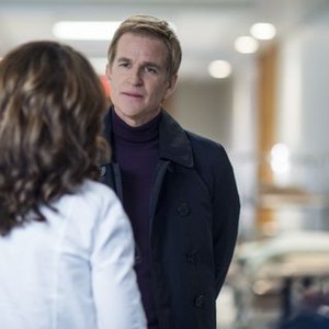 Proof - Rotten Tomatoes