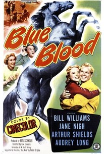 Blue Blood | Rotten Tomatoes
