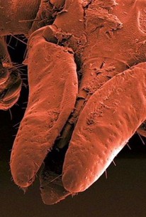 Catalyst: Season 17, Episode 21 | Rotten Tomatoes