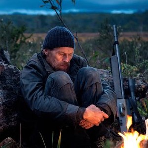 The Hunter - Rotten Tomatoes